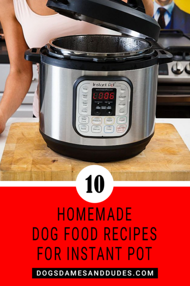 10 Homemade Dog Food Recipes For Instant Pot - Dogs, Dames And Dudes
