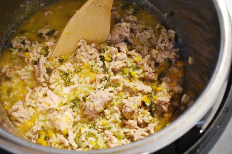 10 Homemade Dog Food Recipes For Instant Pot - Dogs, Dames And Dudes